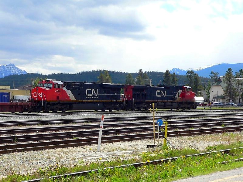 CN 2231